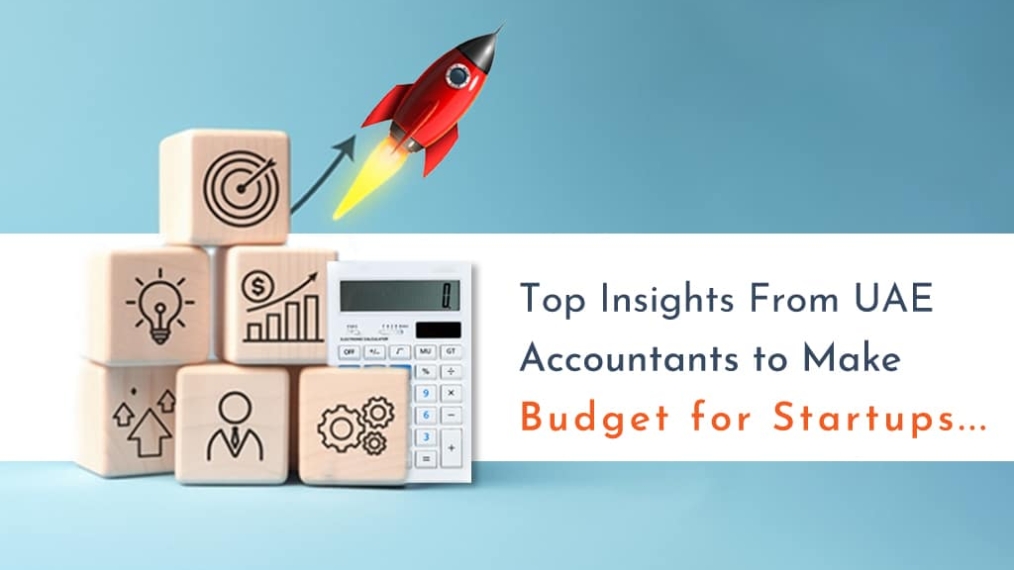 Top Insights From UAE Accountants to Make Budget for Startups